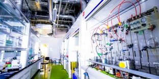 Development | Global | Ricoh